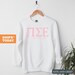 Pi Sigma Epsilon Classic Pink Letters Sweatshirt Fraternity Crewneck ...