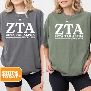 Zeta Tau Alpha Just the Basics Comfort Colors Sorority T-shirt | ZETA ...