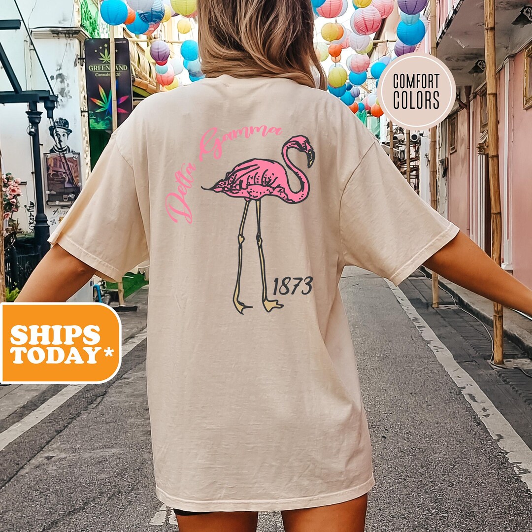 Delta Gamma Flamingo Bliss Comfort Colors Sorority T-shirt | Dee Gee ...