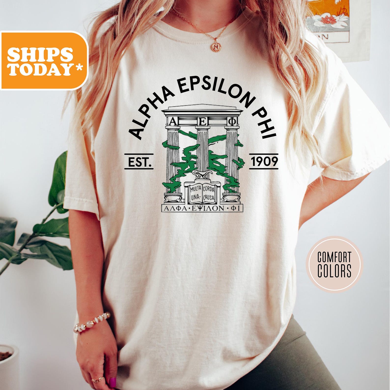 Alpha Epsilon Phi Comfort Colors Sorority T-shirt | AEPHI Greek Gifts ...