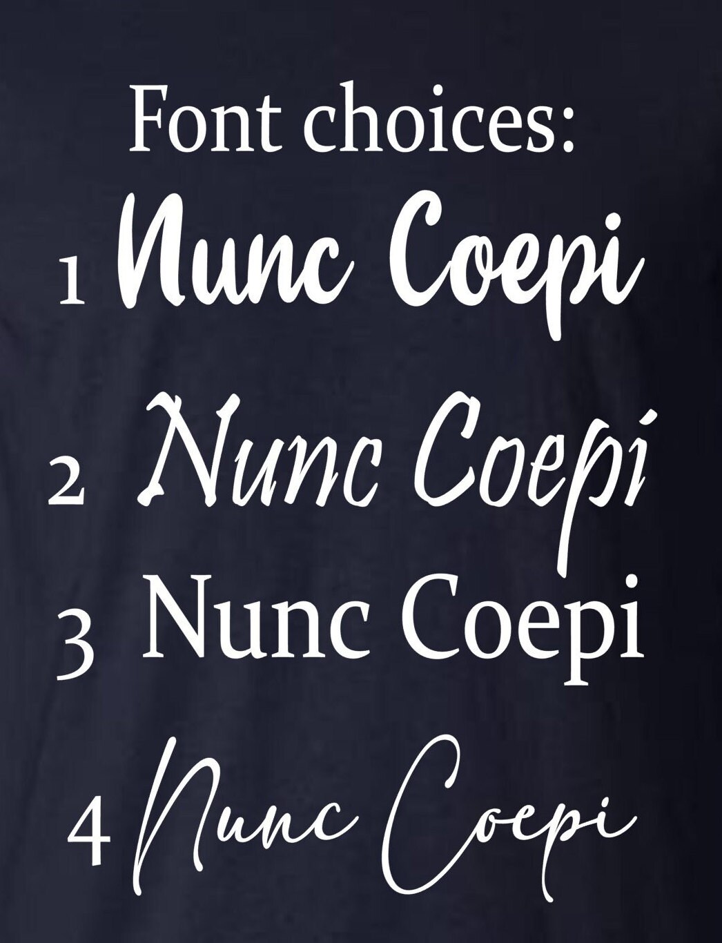 Nunc Coepi Now I Begin Tshirt, BIAY, CIAY, Christian, Jesus, Catholic ...