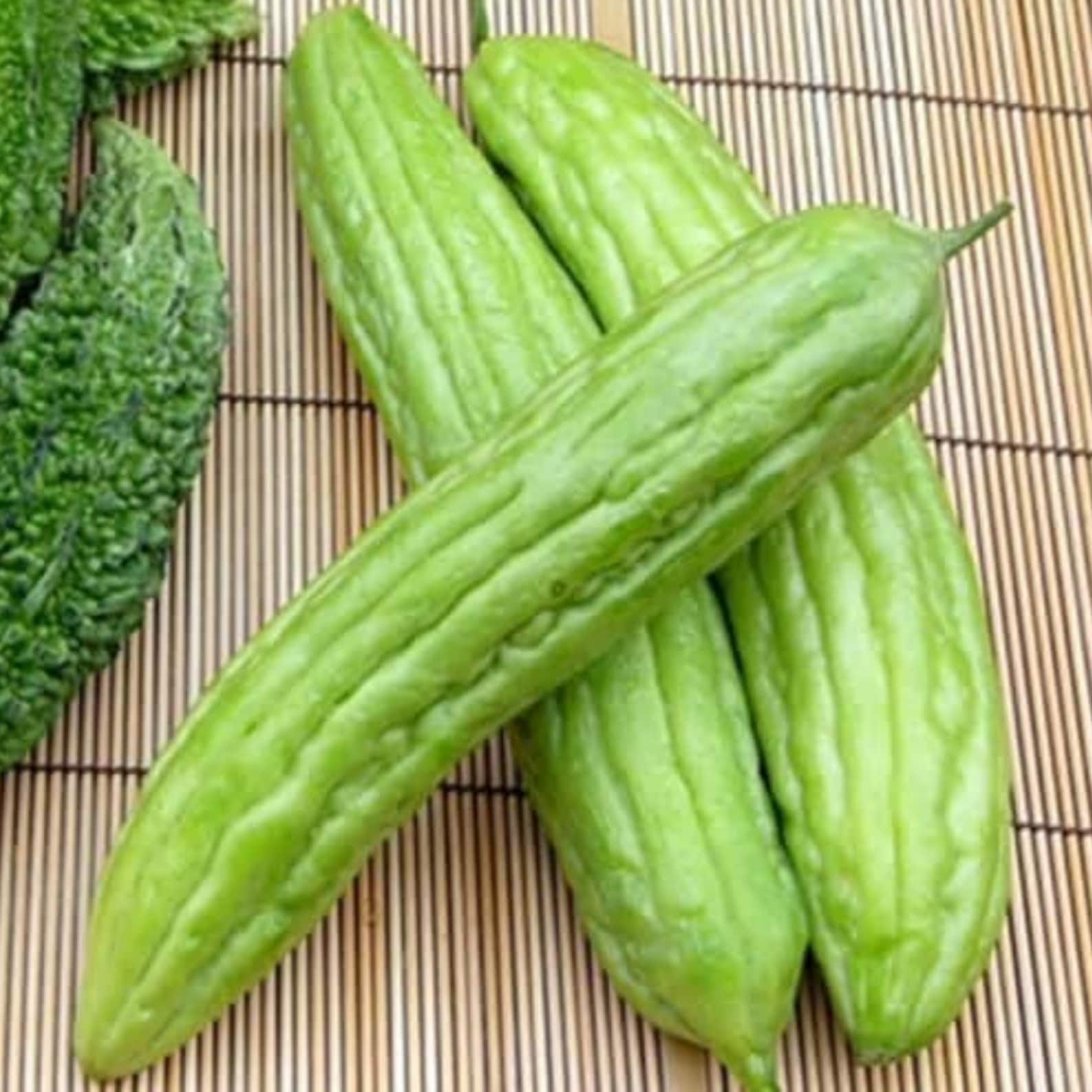 Ampalaya 10 Seeds Philippine Bureau of Plant Industry Bitter | Etsy