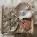Mermaid Core Jewelry Box With Real Seashells - Etsy