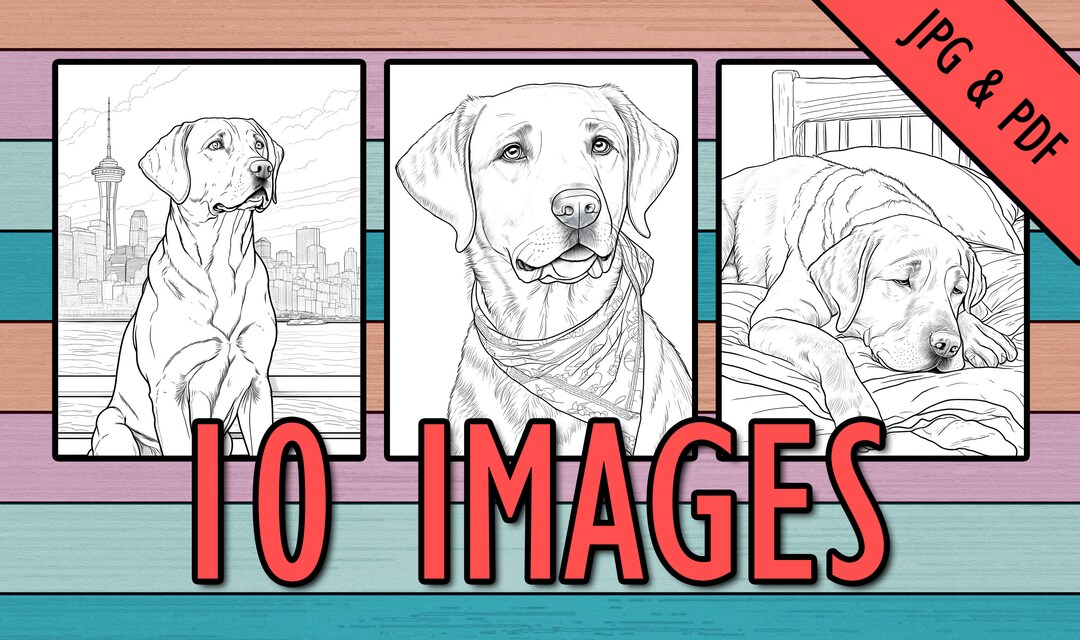Labrador Coloring Pages (set 1), Dog Coloring Pages for Adults, Dog ...