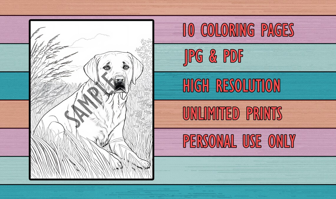 Labrador Coloring Pages set 1, Dog Coloring Pages for Adults, Dog ...