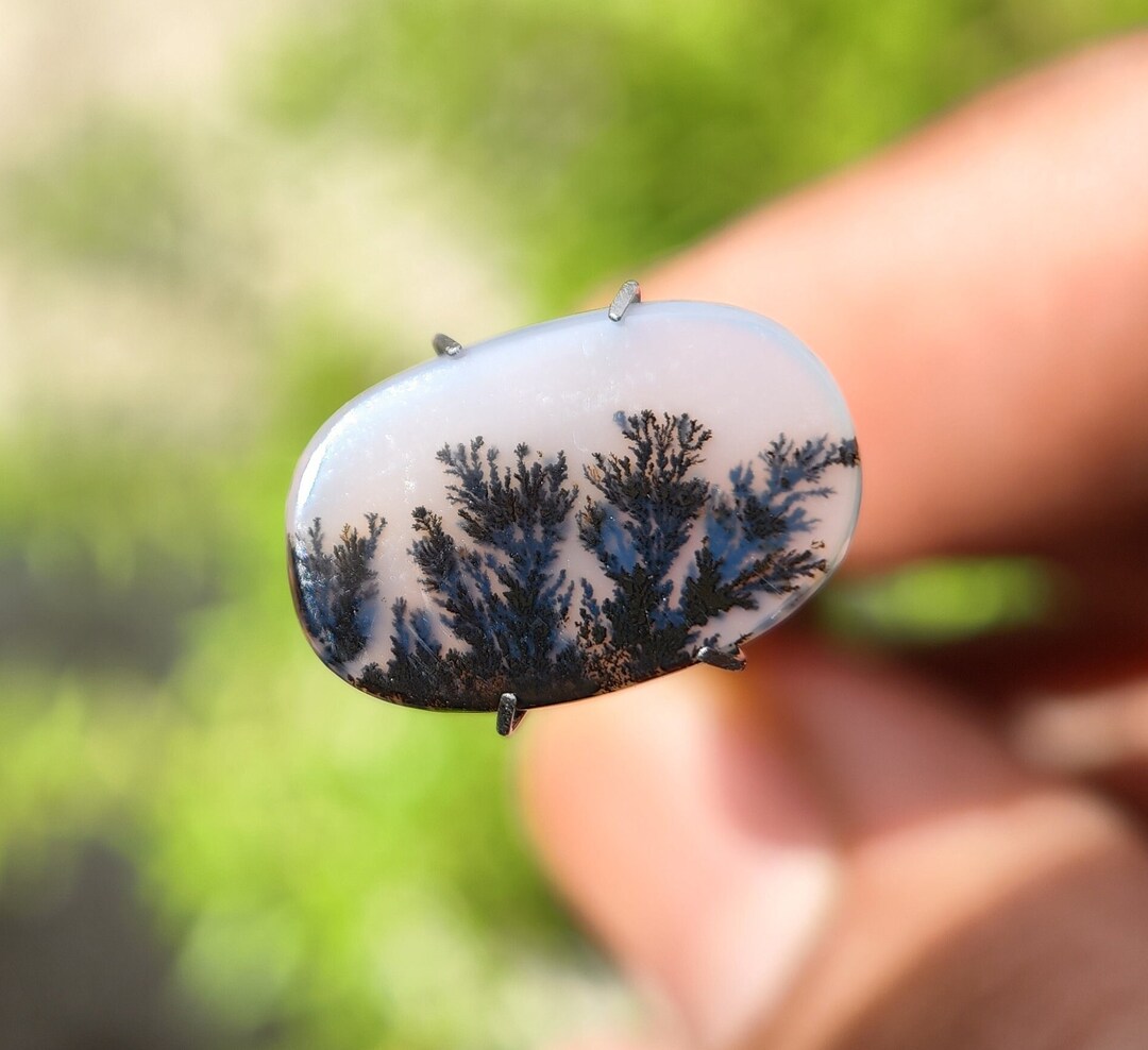 Landscape Agate Dendritic Agate Picture Agate Scenery Agate Gift for ...
