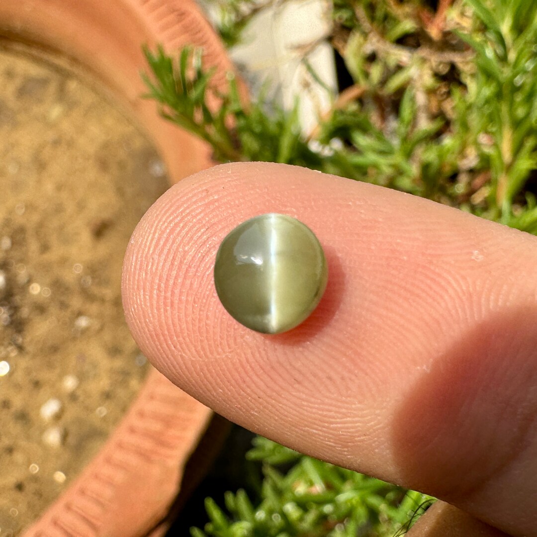 Chrysoberyl Cats Eye - Chrysoberyl Cabochon - Cymophane Cabochon ...