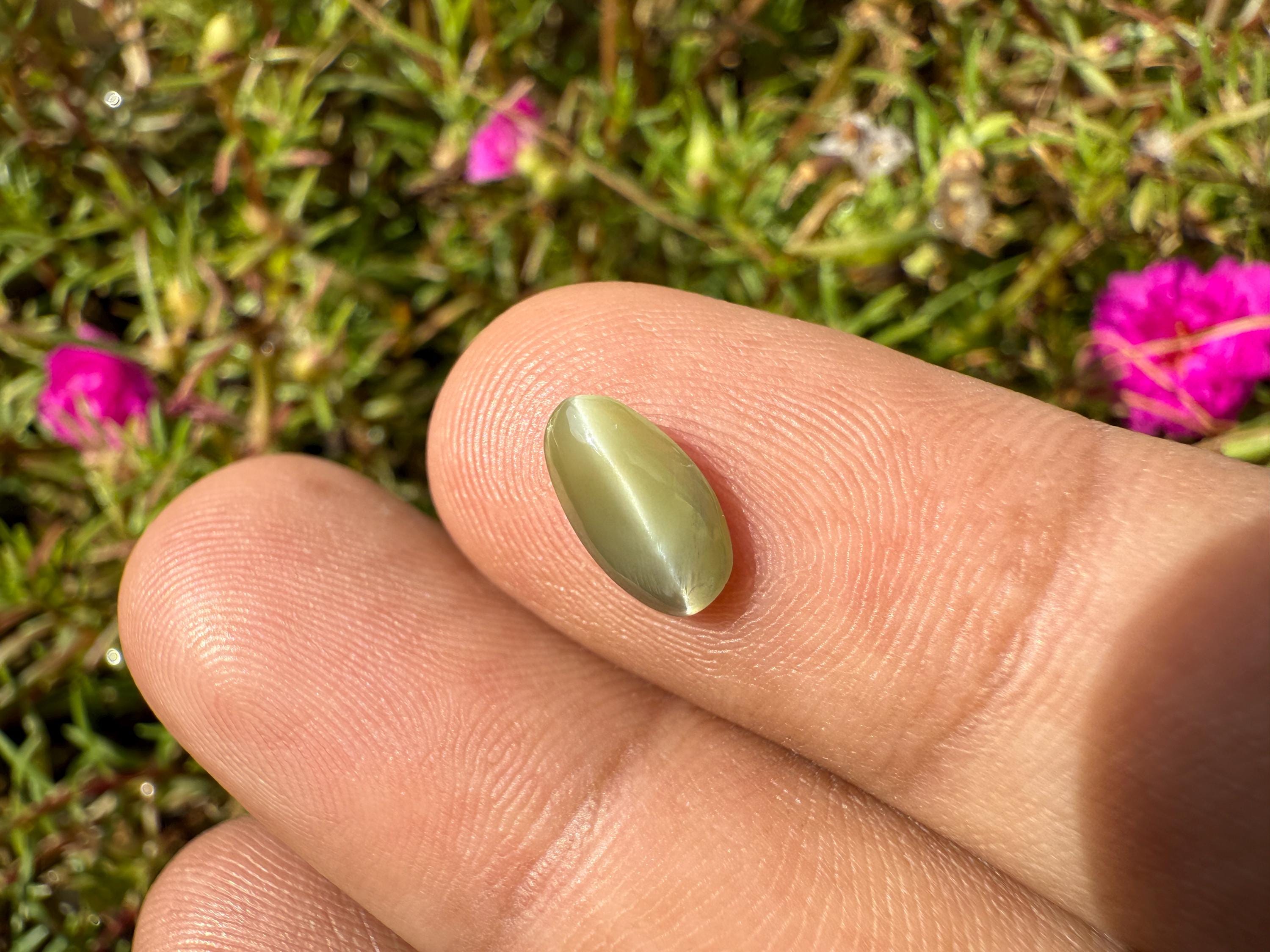 Chrysoberyl Cats Eye - Chrysoberyl Cabochon - Cymophane Cabochon ...