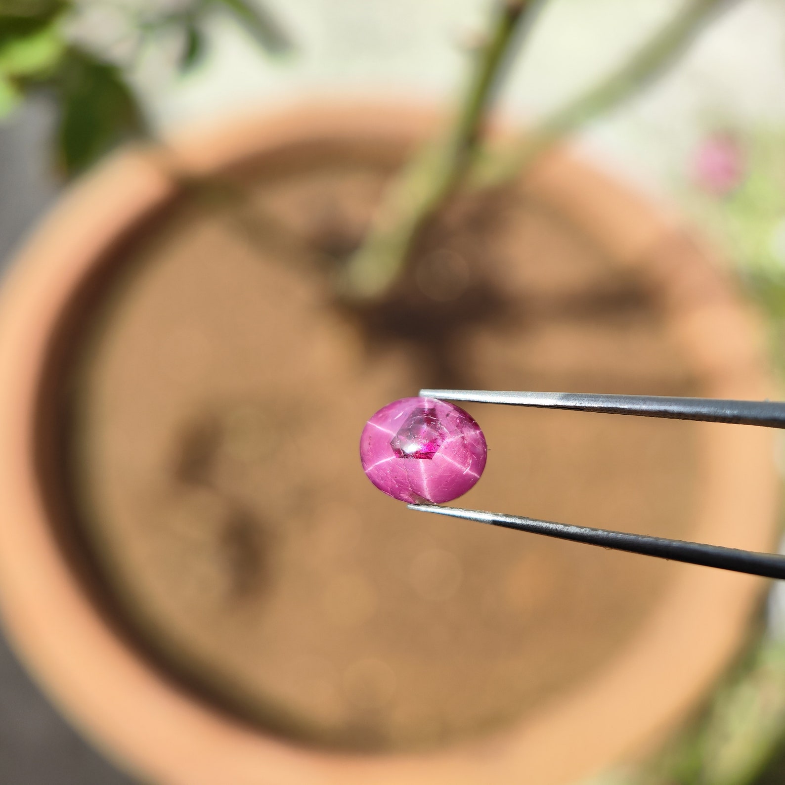RUBY - Star Ruby Cabochon - Natural Star Ruby Crystal - Jewellery ...