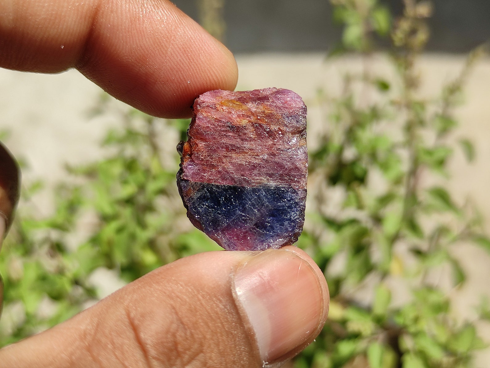 Corundum Sapphire rough crystal watermelon ruby sapphire | Etsy