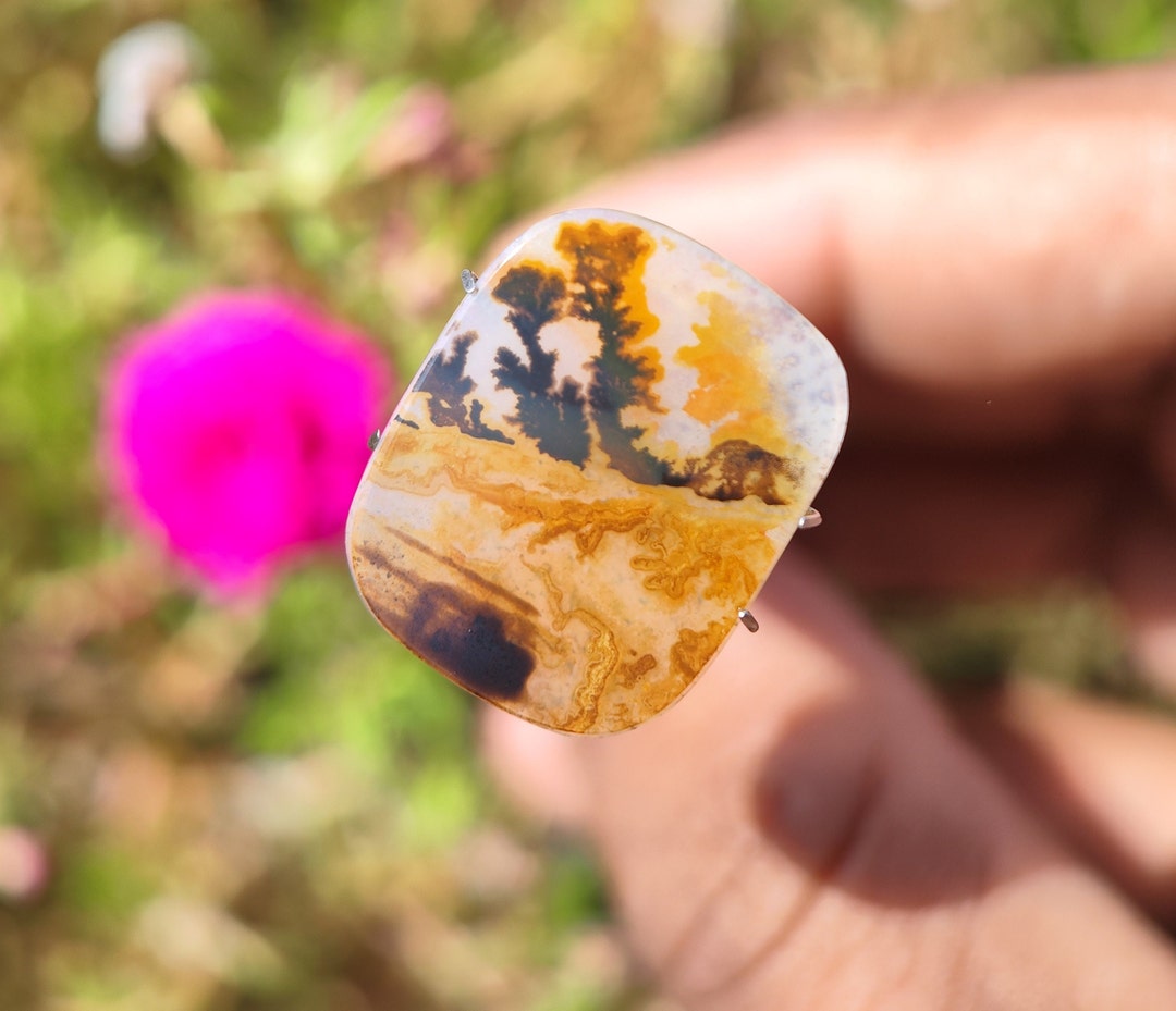 Landscape Agate - Dendritic Agate - Picture Agate - Scenery Agate ...