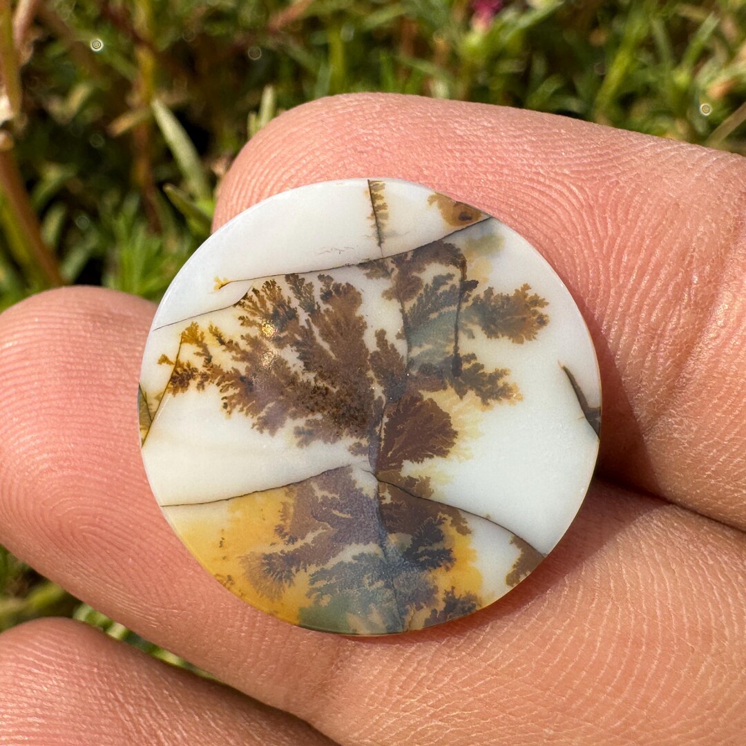 Landscape Agate - Dendritic Agate - Picture Agate - Scenery Agate ...