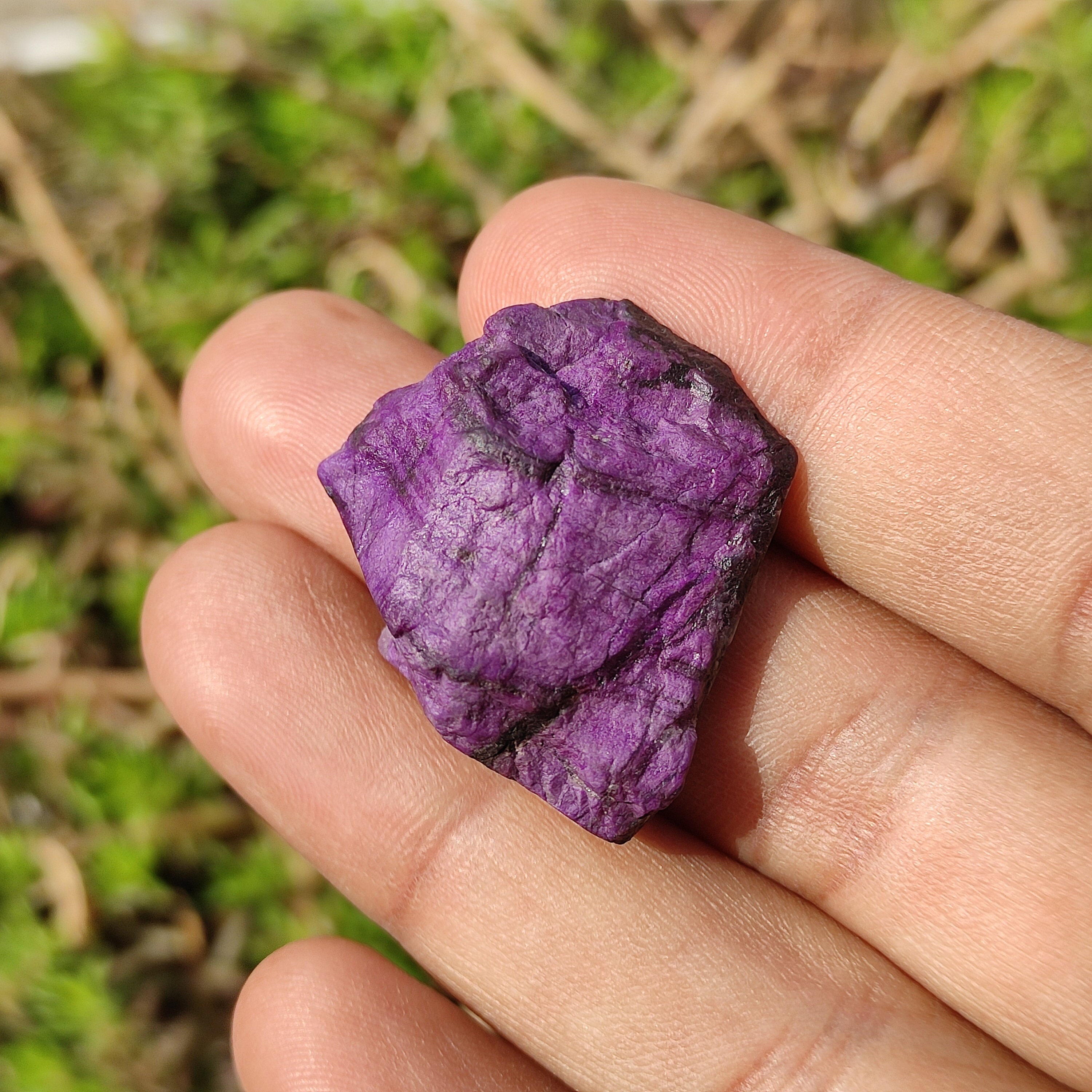 Purple Dolerite