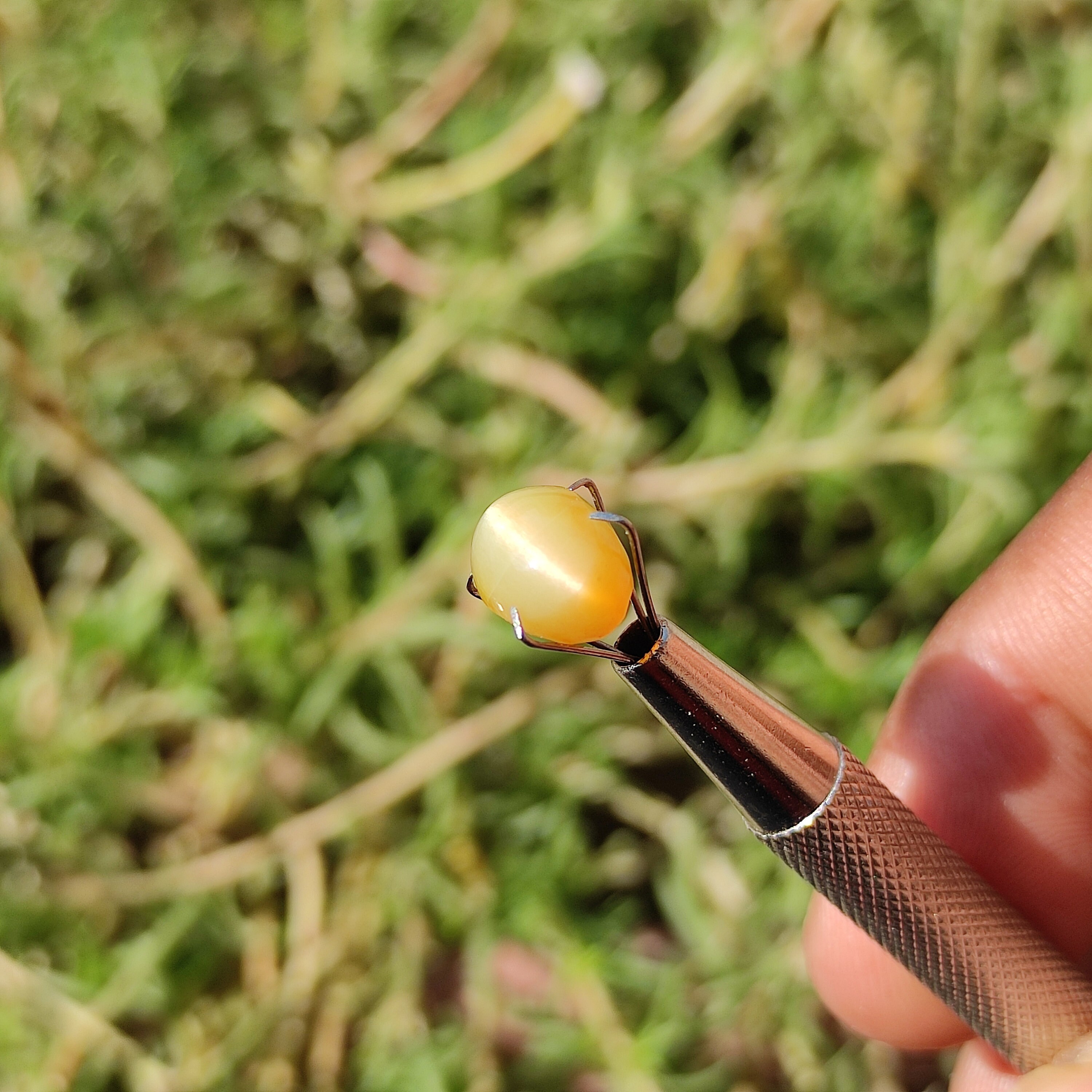 OPAL Cats Eye - African Opal Cabochon Cat's Eye - Etiopian Opal Cat ...
