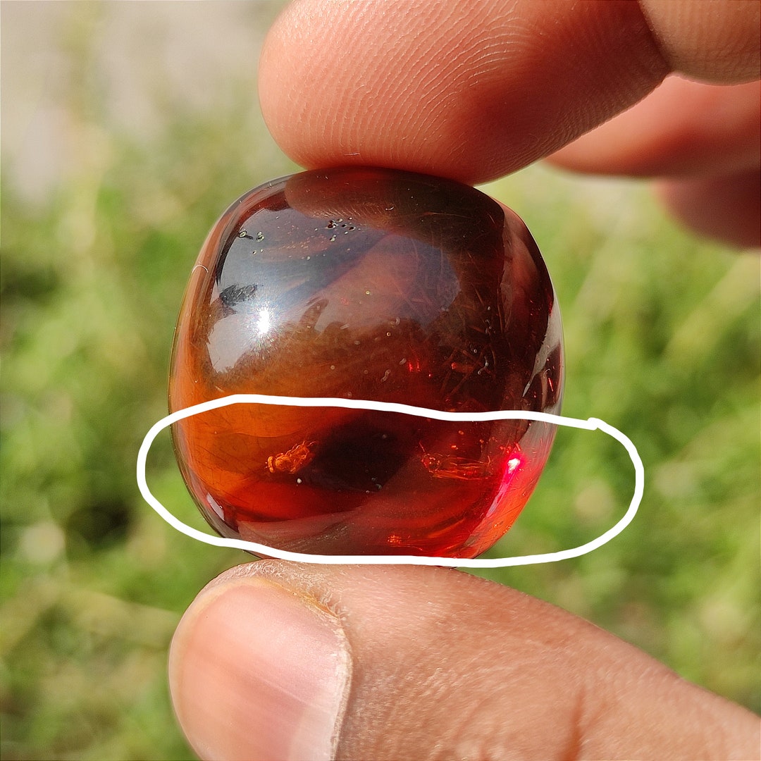 Natural AMBER (mexican) Insect Fossil - Genuine Amber Wax Healing and ...