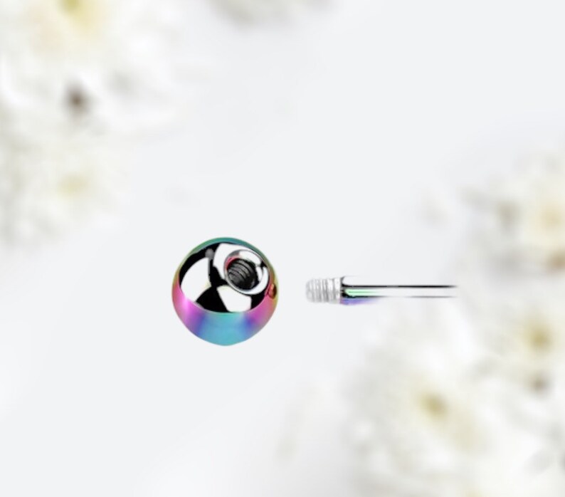 Pair of 14G Externally Threaded Implant Grade Titanium Plain Rainbow ...