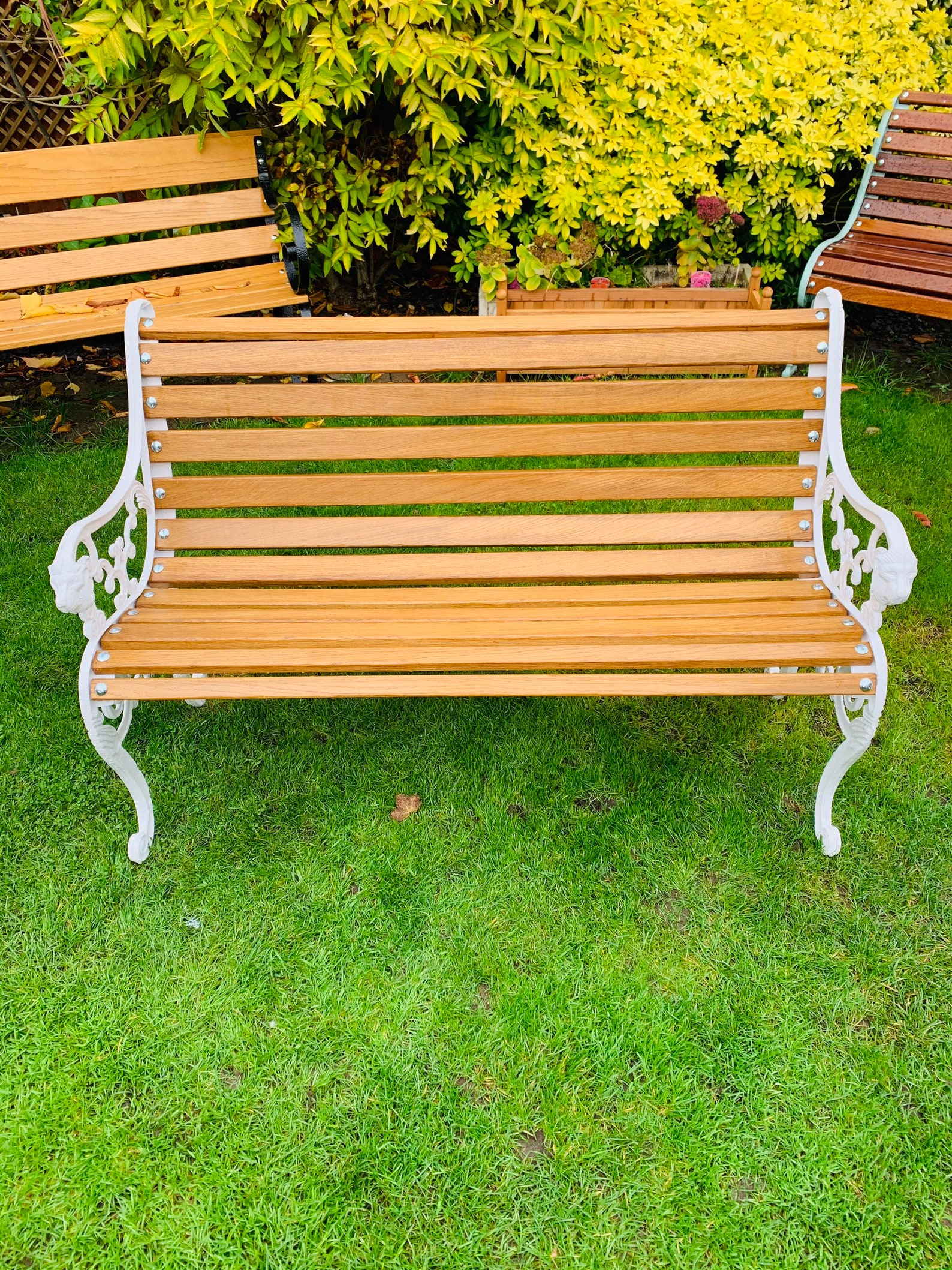 Antique Cast Iron Lions Head Bench Finished with European | Etsy