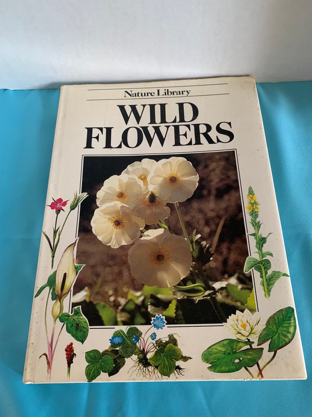 WILDFLOWER REFERENCE BOOK - Etsy
