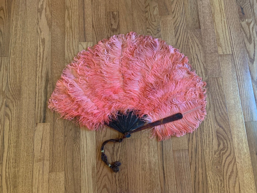 1900's Edwardian Ostrich Feather Hand Fan, Salmon Pink on Brown ...