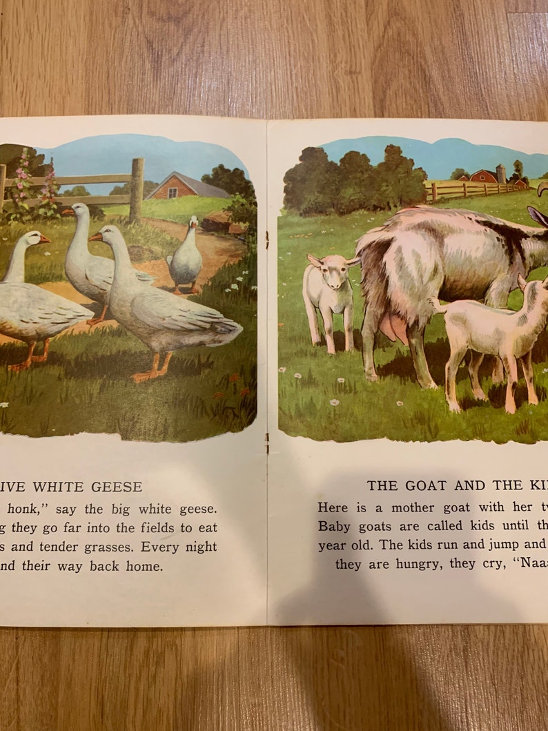 1961 Farm Animals Picture Book Illustrated Children's - Etsy