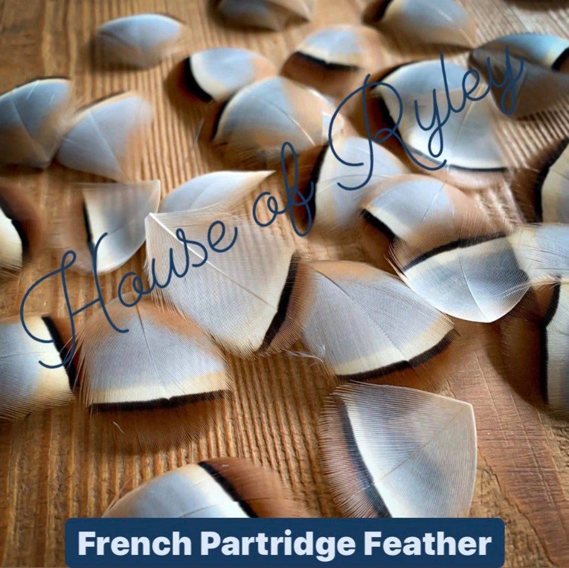 Box of 6 8cm Feather Bauble Made to Order Gamebird, Christmas Tree ...