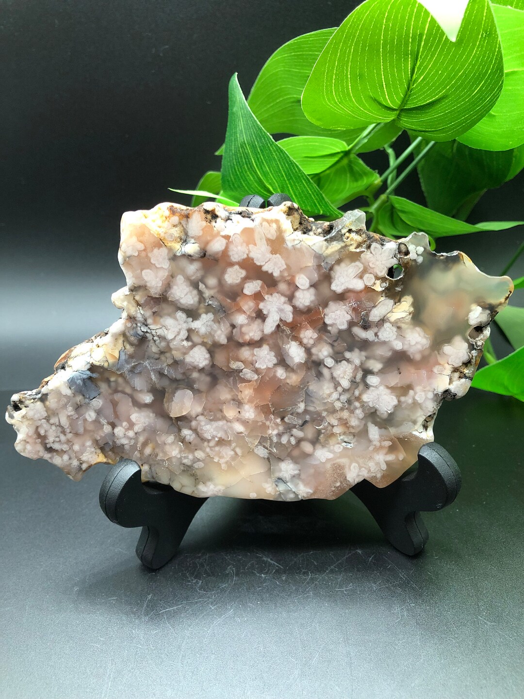 Polished Flower Agate Slab / Cherry Blossom Agate / Sakura Agate - Etsy ...