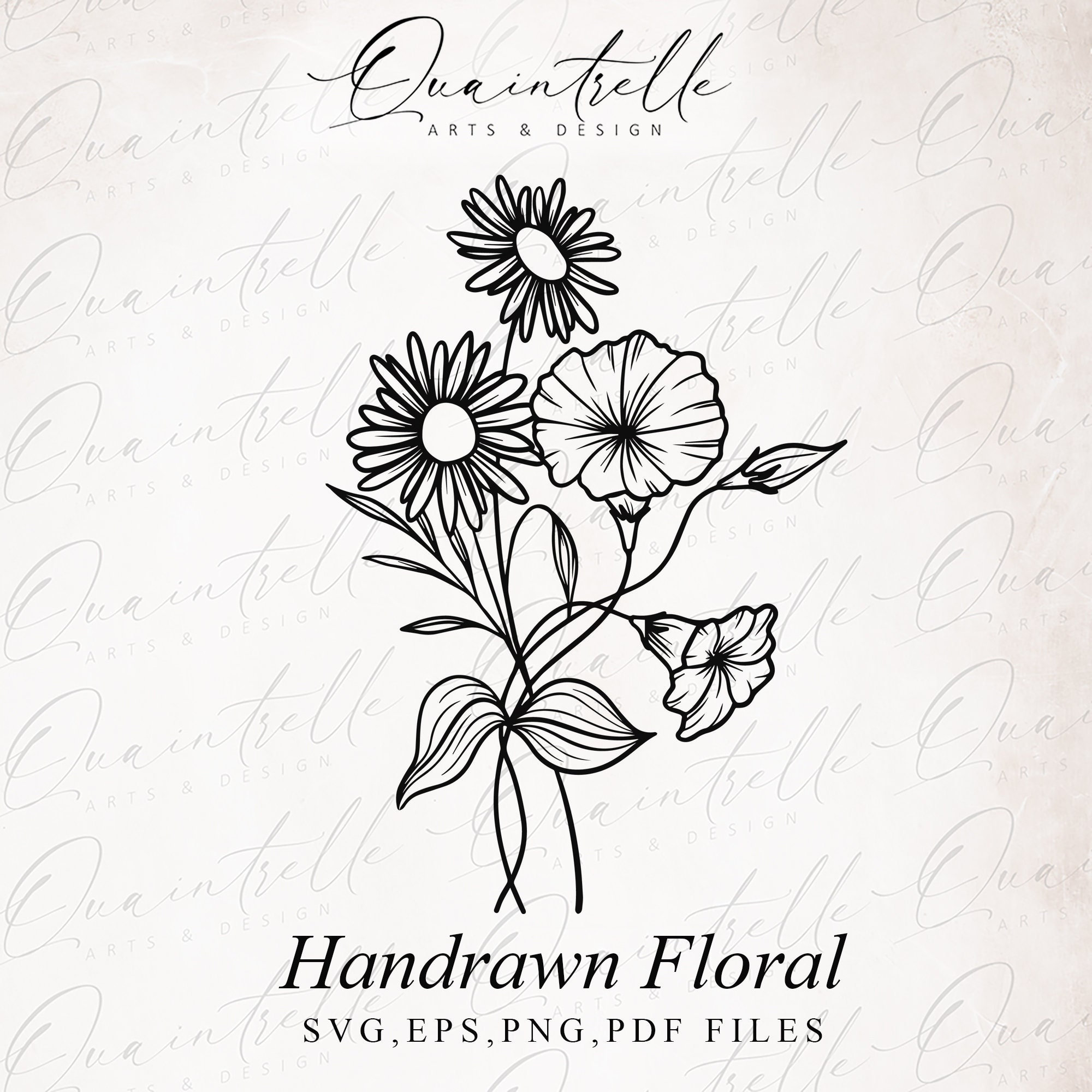 Aster Botanical Illustration | September Birth Flower SVG | Morning ...