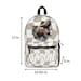Personalized T-rex Dinosaur Laptop Backpack, Matching Lunch Bag ...