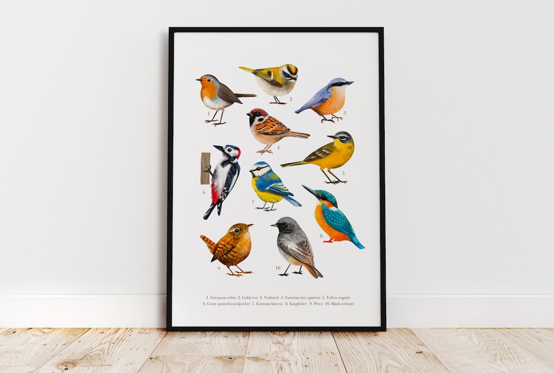 Printable Birds Poster, Montessori, Vintage-inspired Poster, Birds Wall ...