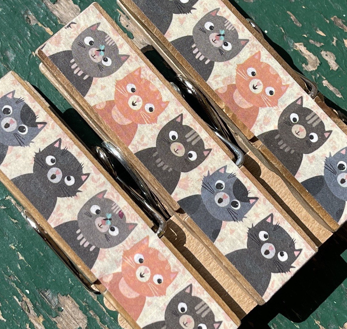 Cute Kitten Cats with Butterfly on Nose Chip Snack Clips Set/3