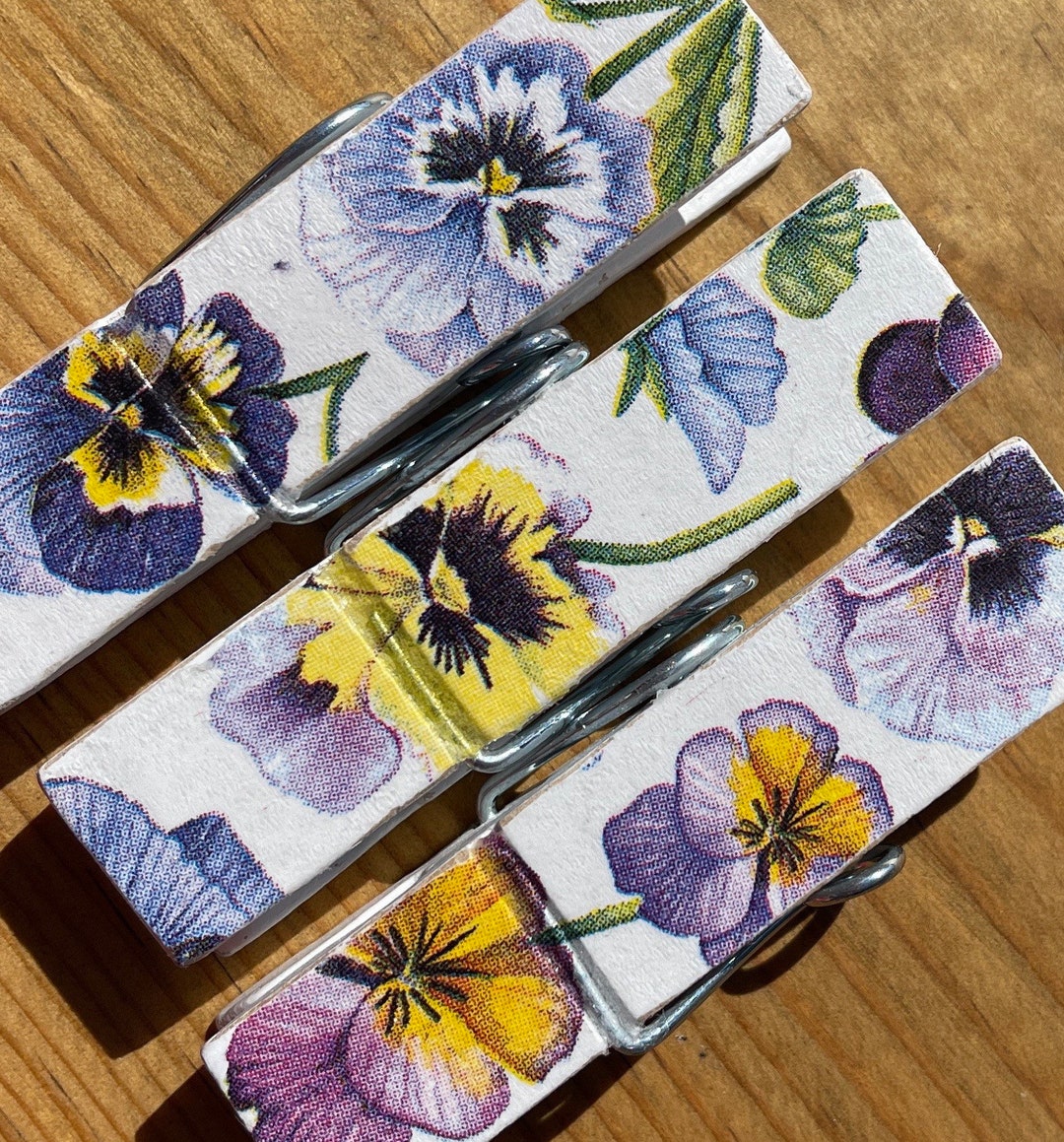 Pansy Chip Snack Clips Set/3 - Etsy