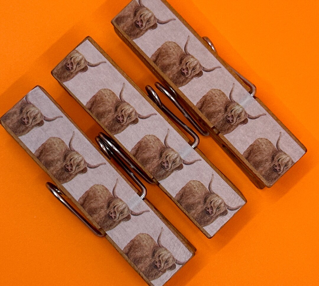 NEW Highland Cows Texas Longhorn Cattle Chip Snack Clips Set/3 - Etsy