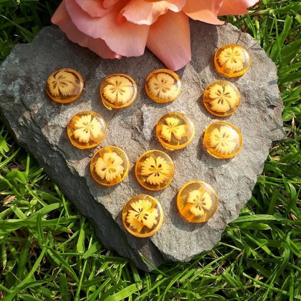 Translucent Buttons - Etsy