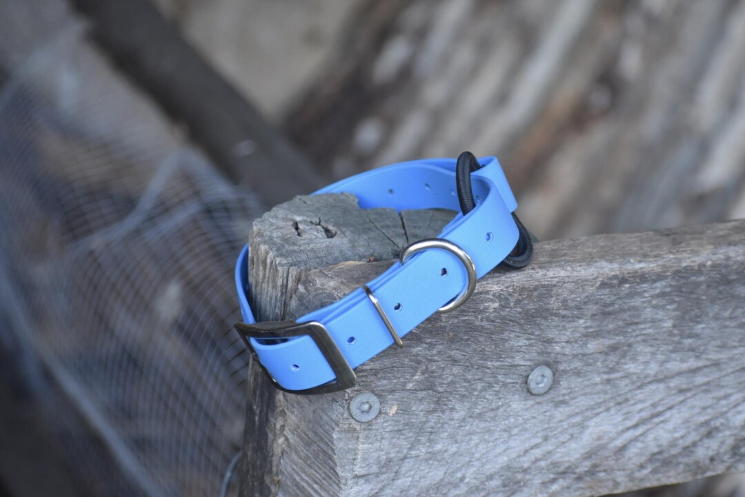 Biothane Ecollar Strap 1" - Etsy