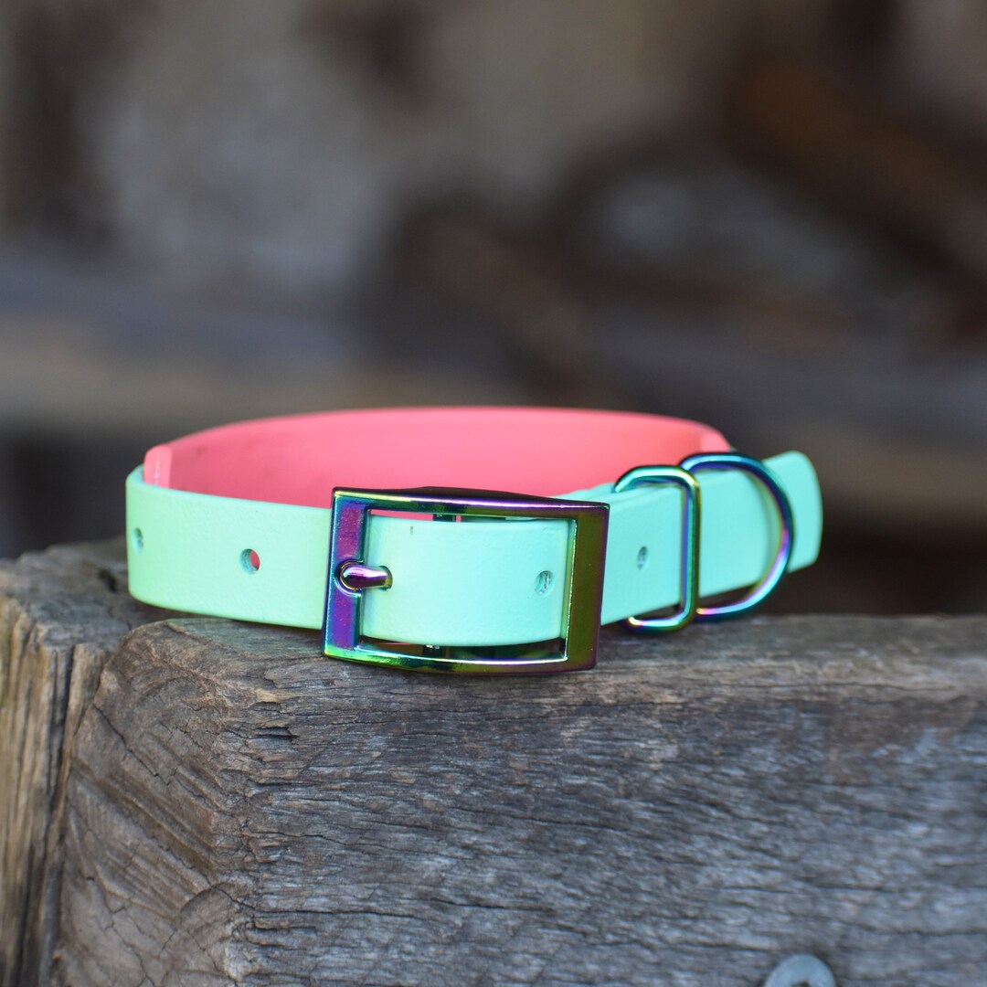 3/4” Double Layered Biothane® Collar - Etsy
