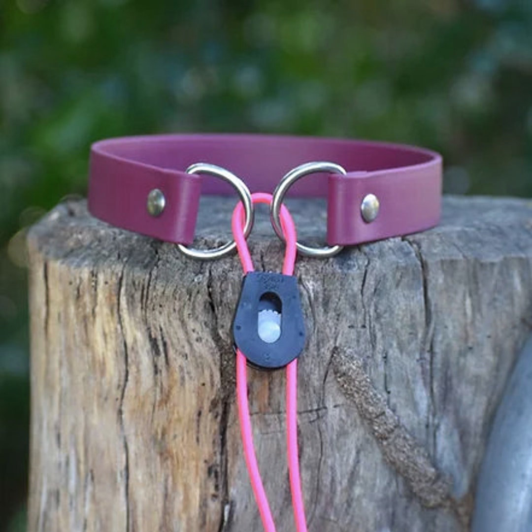 1" Biothane Bungee Ecollar Strap - Etsy
