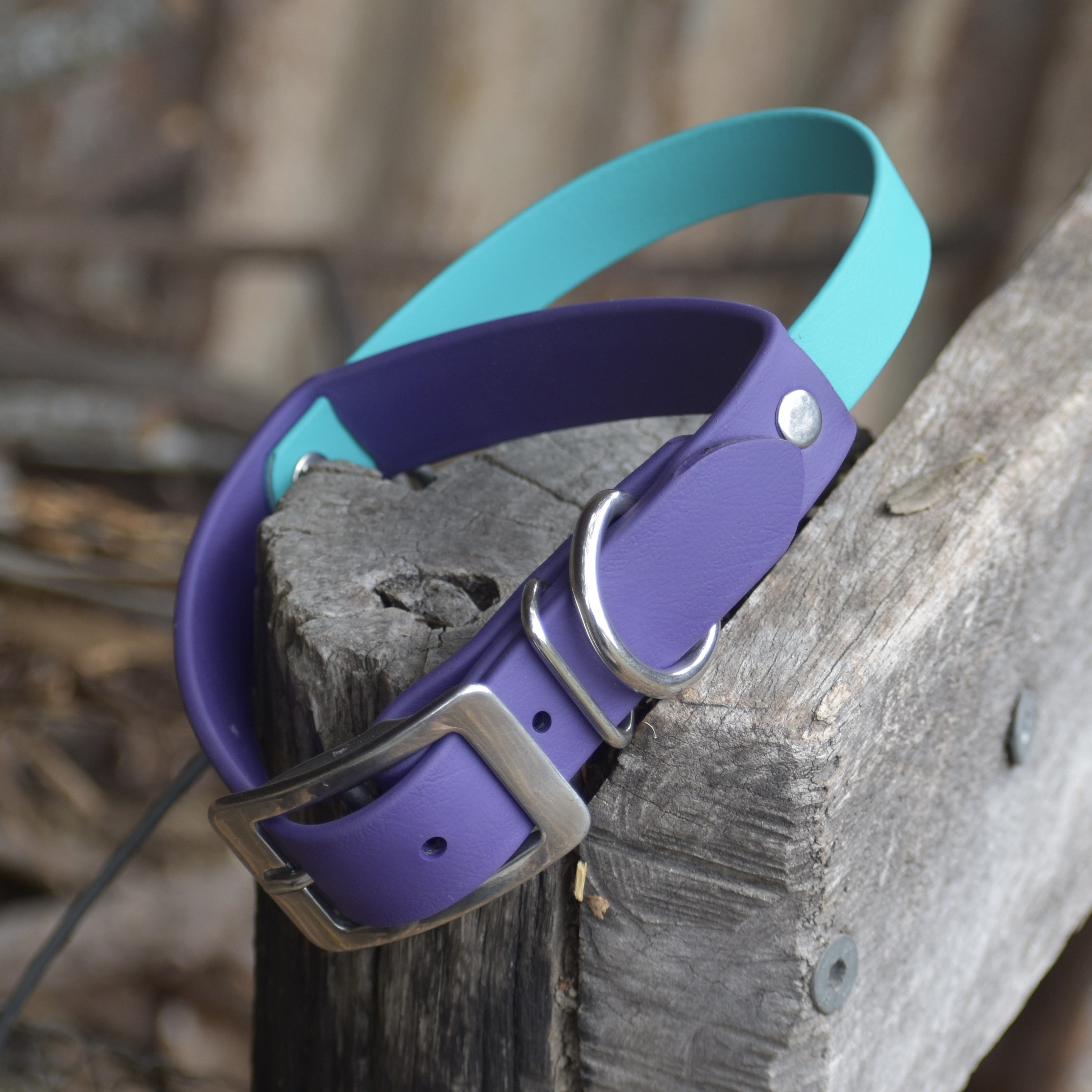 1” Biothane Collar With Built-in Handle - Etsy