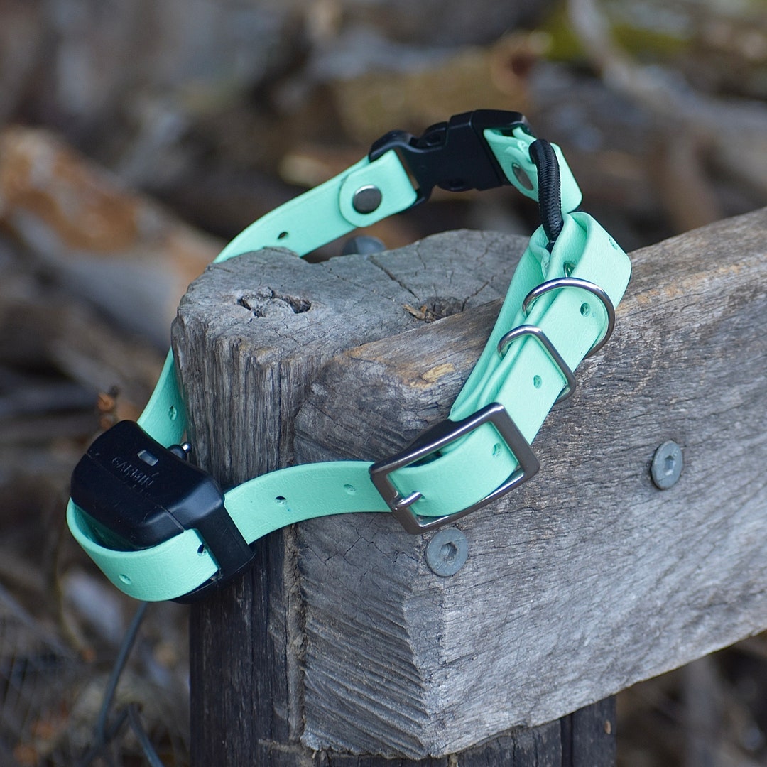 Biothane® Ecollar Strap 3/4"with Quick Release Buckle - Etsy