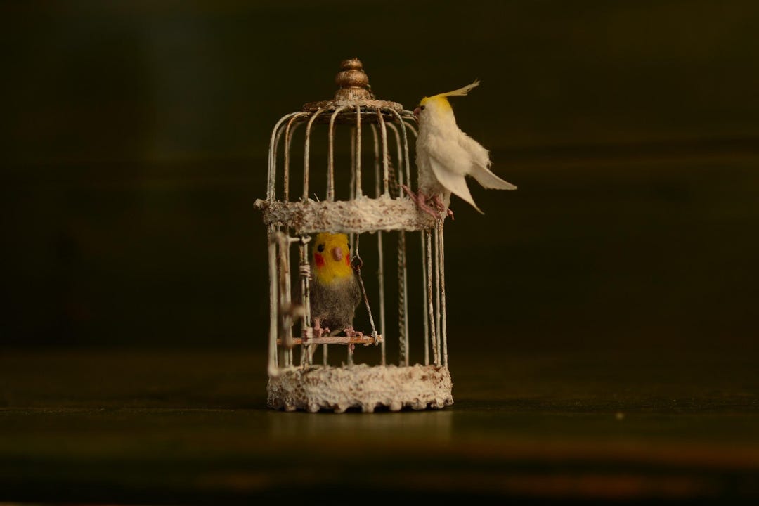 Handmade Miniature Cockatoo Parrots in Cage, Dollhouse Miniatures - Etsy