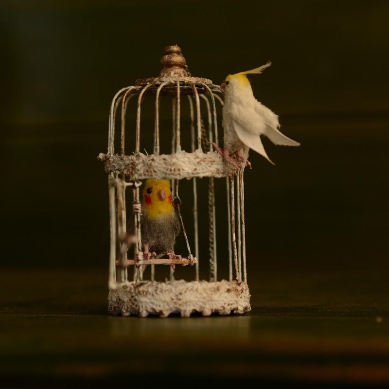 Penny Thomson Miniatures - Etsy
