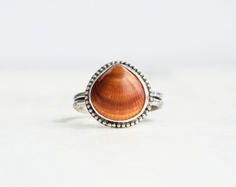 Sea Shell Silver Ring - Etsy