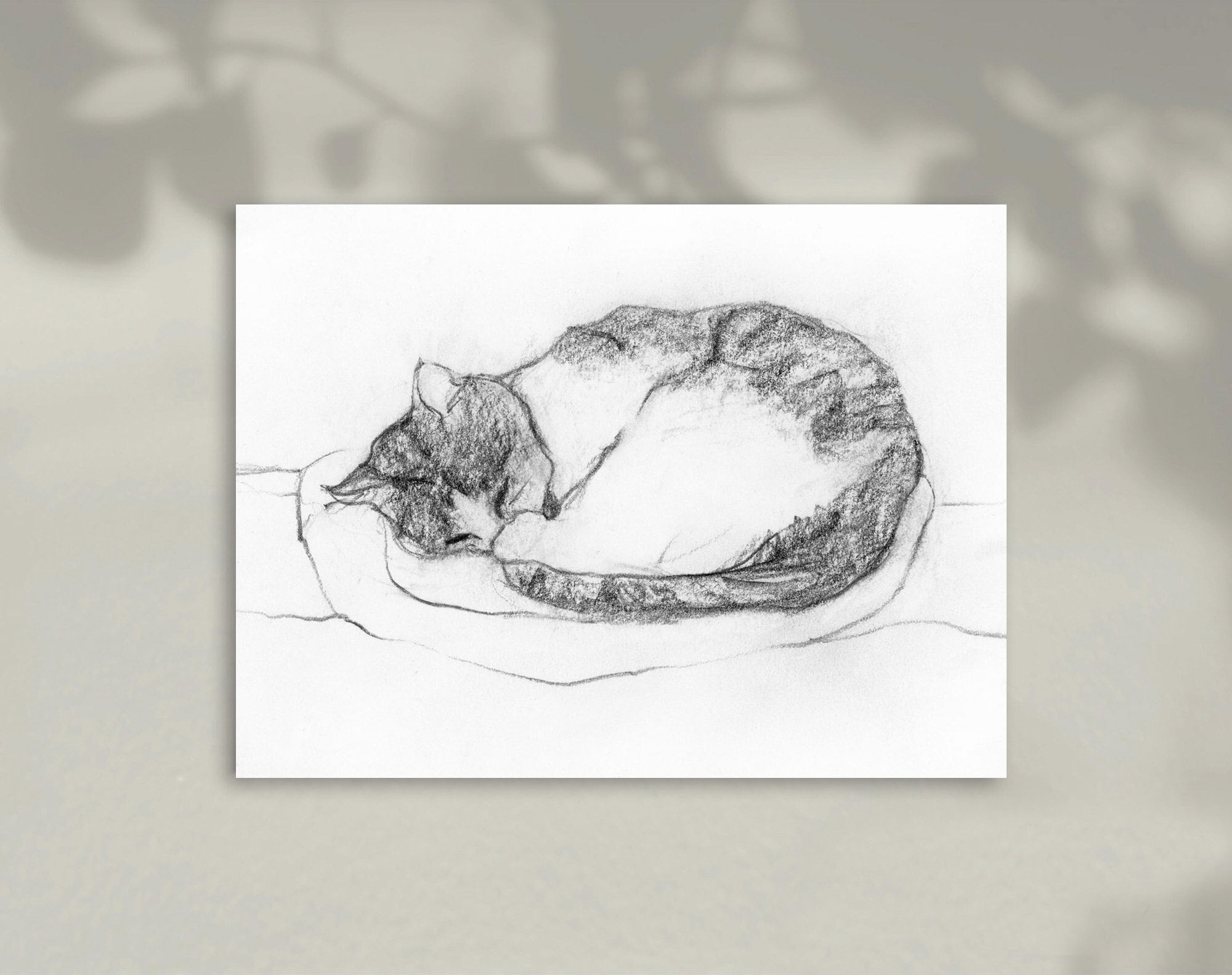 Sleeping Cat Drawing Realistic