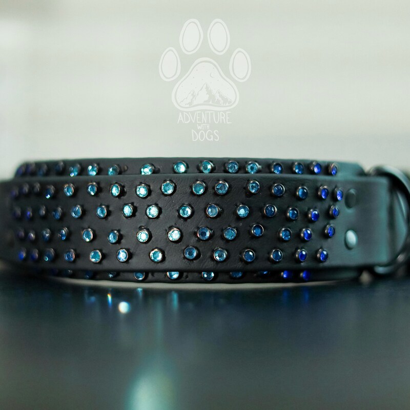 Crystal Dog Collar - Etsy