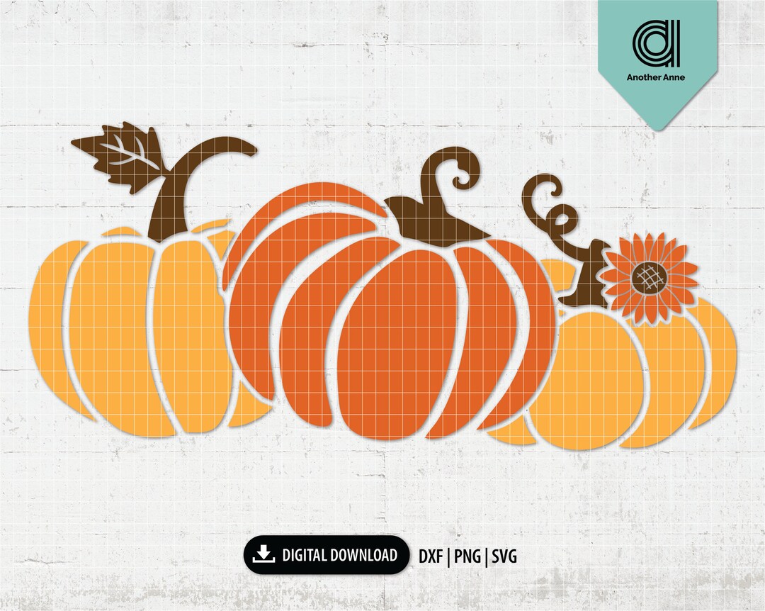 Three Pumpkins Svg Pumpkins Clipart Autumn Holiday Décor - Etsy