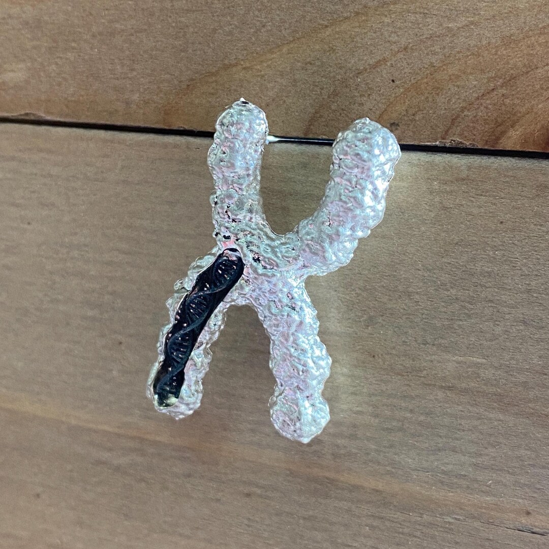 Unique Chromosome Brooch•gift for Geneticist•medical Lapel Pin•human ...