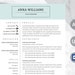 Mint Resume Template for Word |1,2,3 Page Resume With Cover Letter for ...
