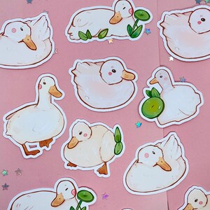 Duck Friends Sticker Pack Duck Sticker Matte Stickers - Etsy