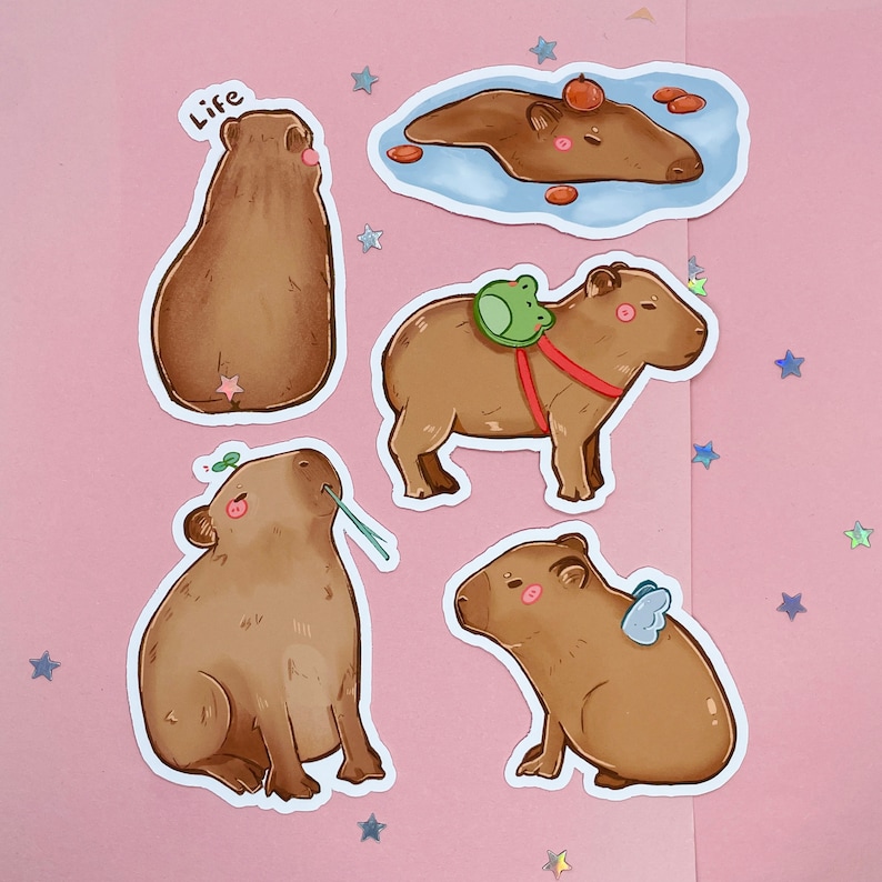 Capybara Stickers Sticker Pack Laptop Sticker Vinyl - Etsy