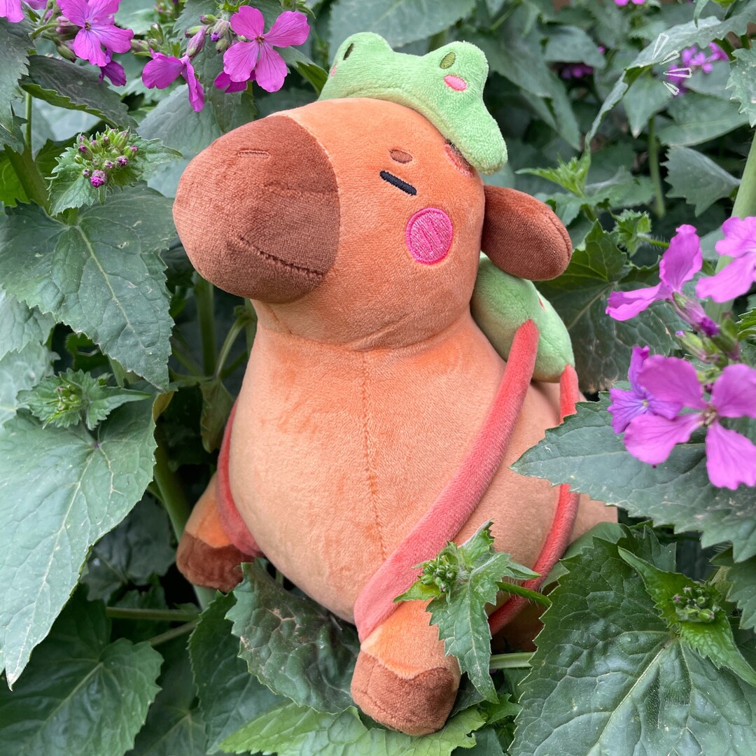 Cute Animal Plush Toy Bundle With Backpack Frog Hat Gift for Kids Room ...