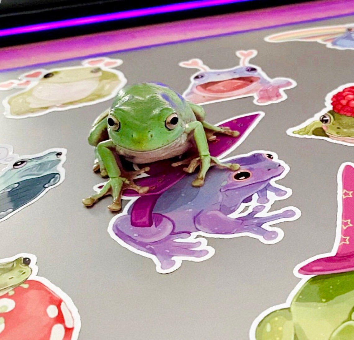 Frog Stickers Frog Buddies 4.0 Sticker Pack Laptop - Etsy